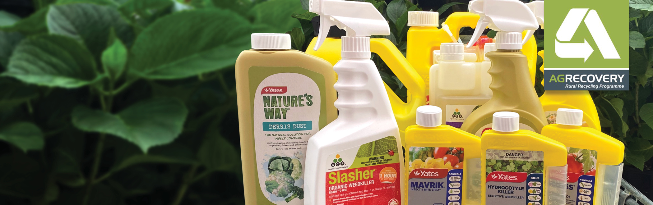 Yates Gardening | Garden Products & Garden Advices | Lawn, Plant ...