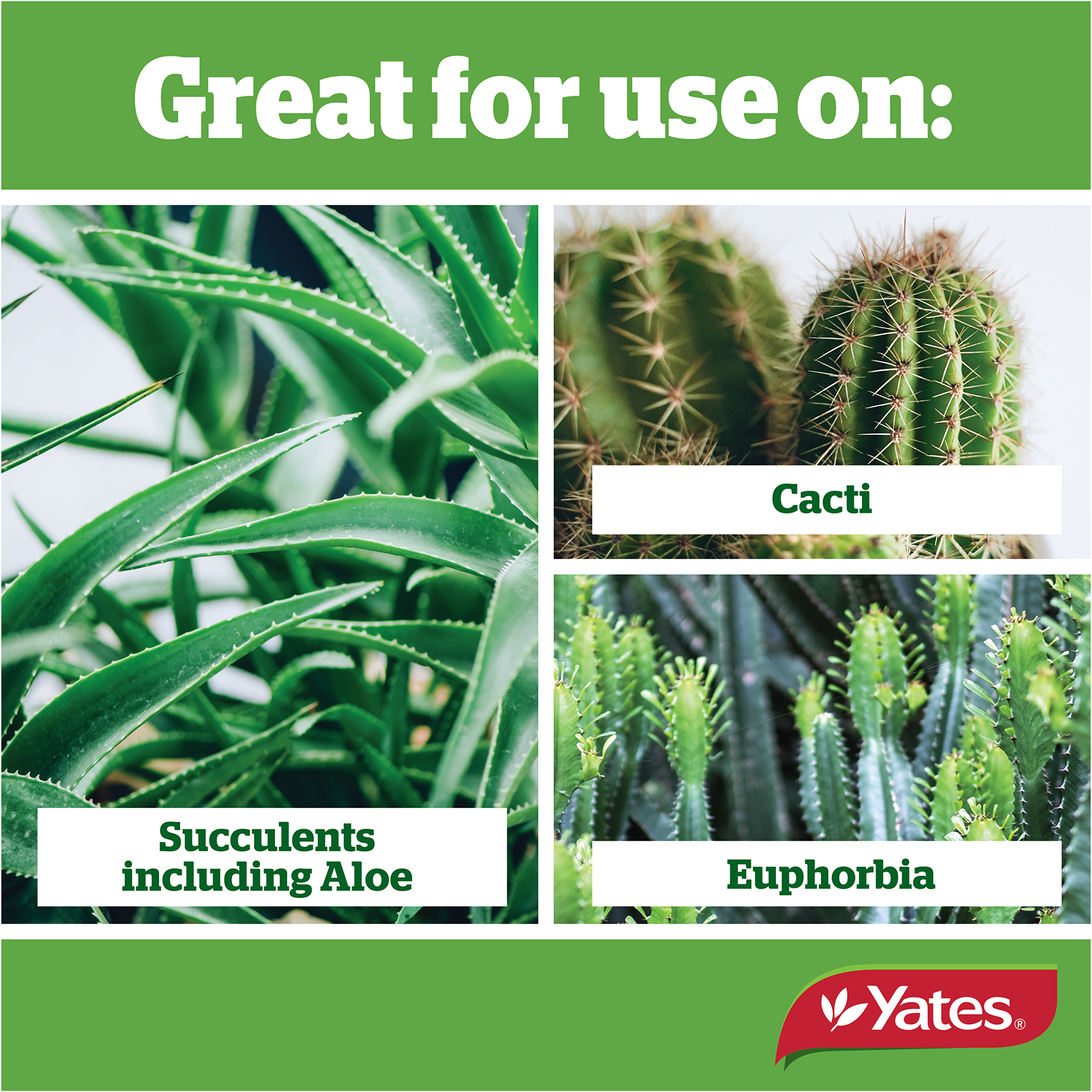 Yates Thrive Plant Food Spikes Cacti & Succulents