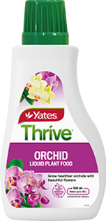 Yates Thrive