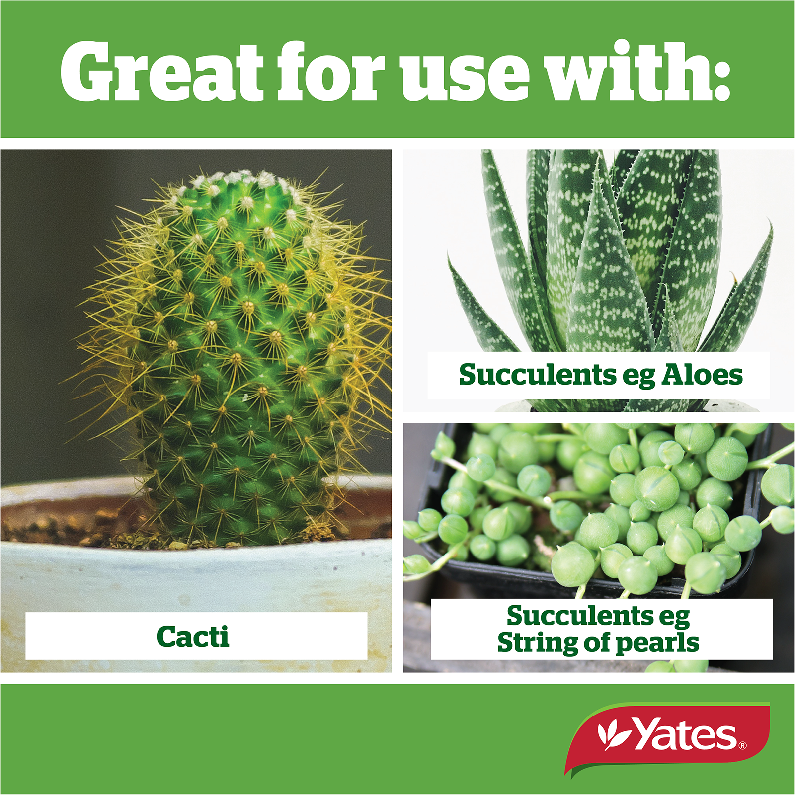 Yates Thrive Cacti & Succulent