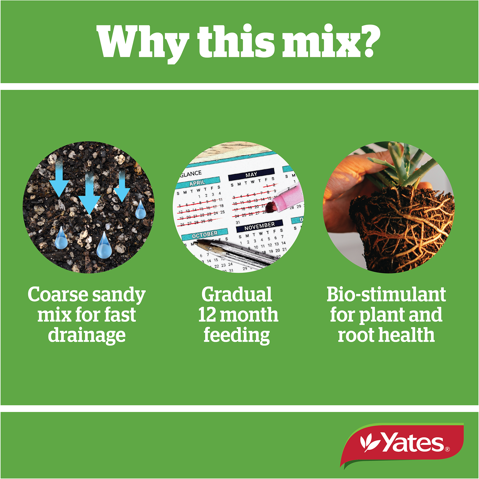 Yates Thrive Cacti & Succulent