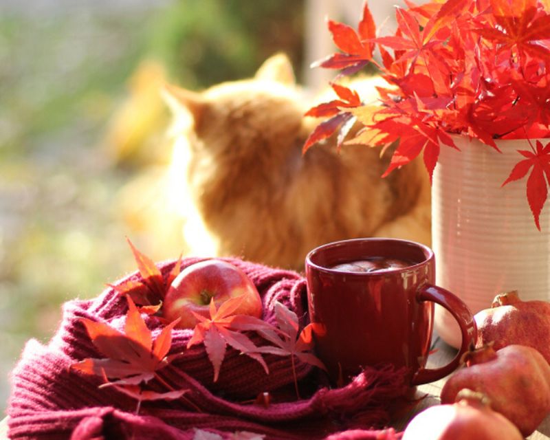 Yates Autumn Garden Calendar