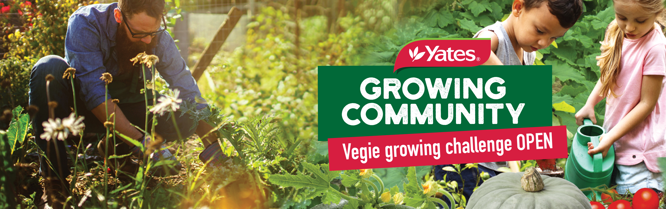 Yates Gardening | Garden Products & Garden Advices | Lawn, Plant ...