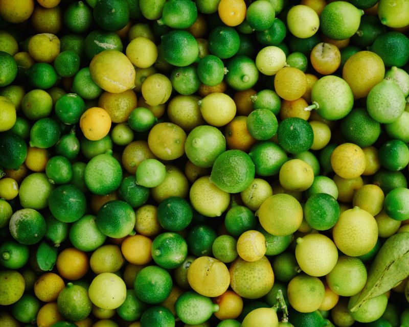 How to grow citrus | Yates