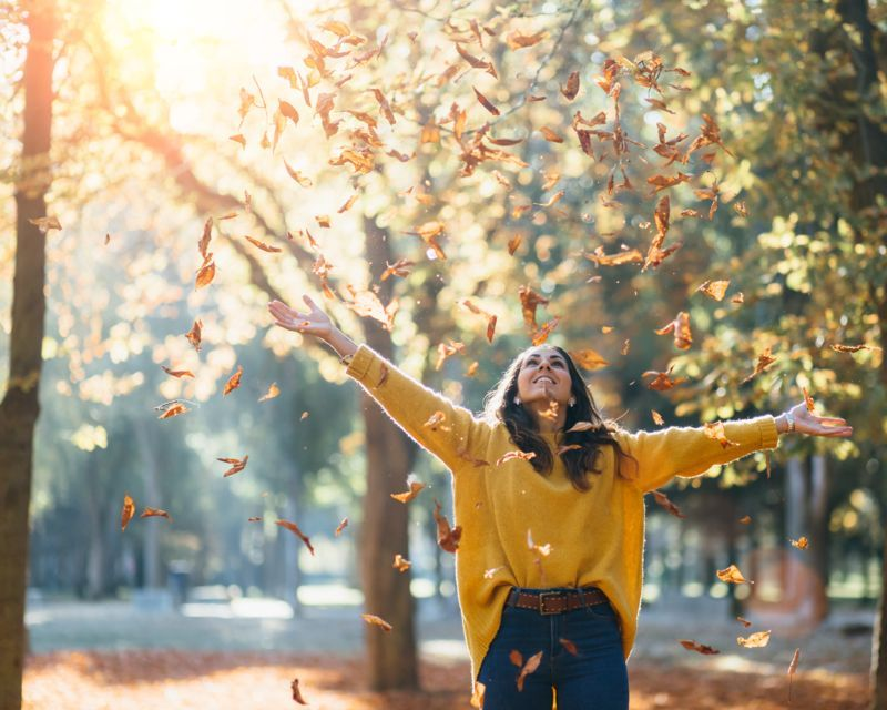 What do in the the garden in autumn | Yates