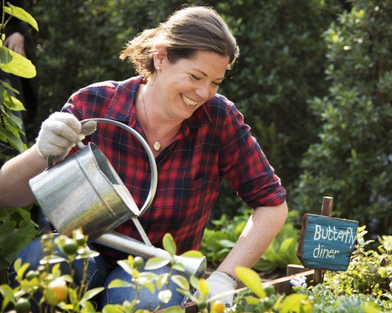 What to do in the garden in autumn | Yates