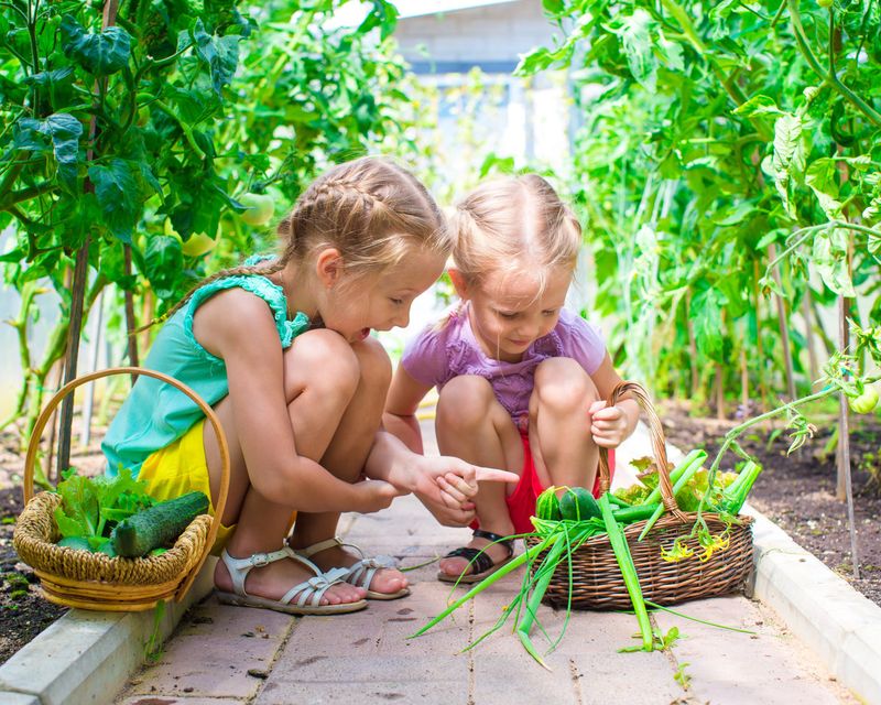 How to make gardening fun at school | Yates