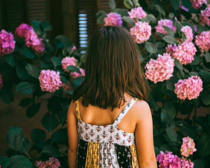 What to grow in spring | Yates