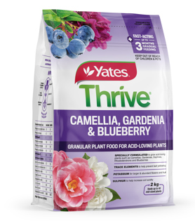 Yates Thrive