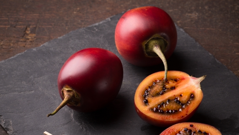 How to grow sweet, tangy and flavourful Tamarillos | Yates