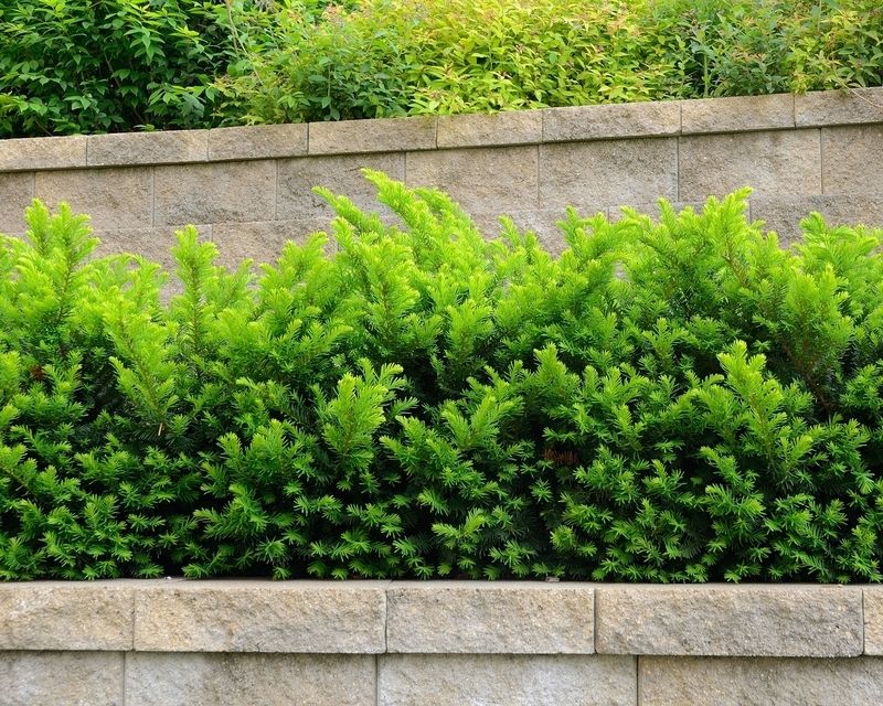 Fast Hedges for Privacy | Yates