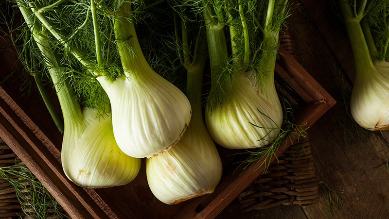 How to grow fennel in pots and gardens | Yates