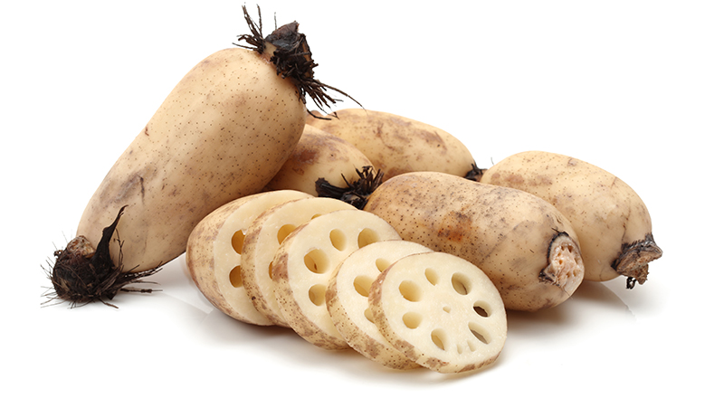 How to grow lotus in the garden or pots | Yates