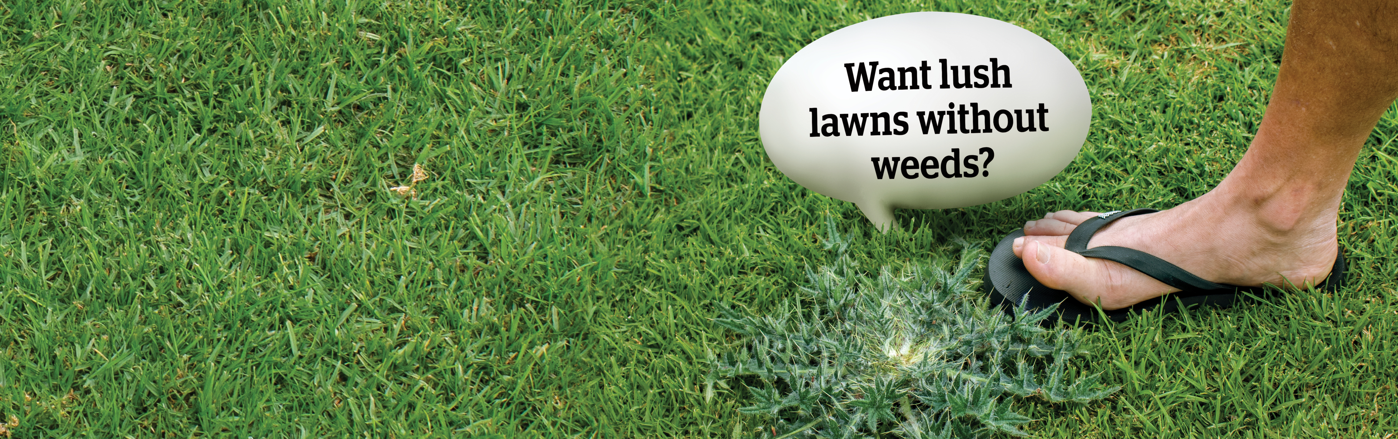 Yates Gardening | Garden Products & Garden Advices | Lawn, Plant ...