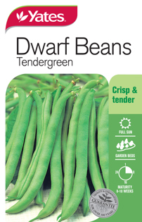 Dwarf Beans