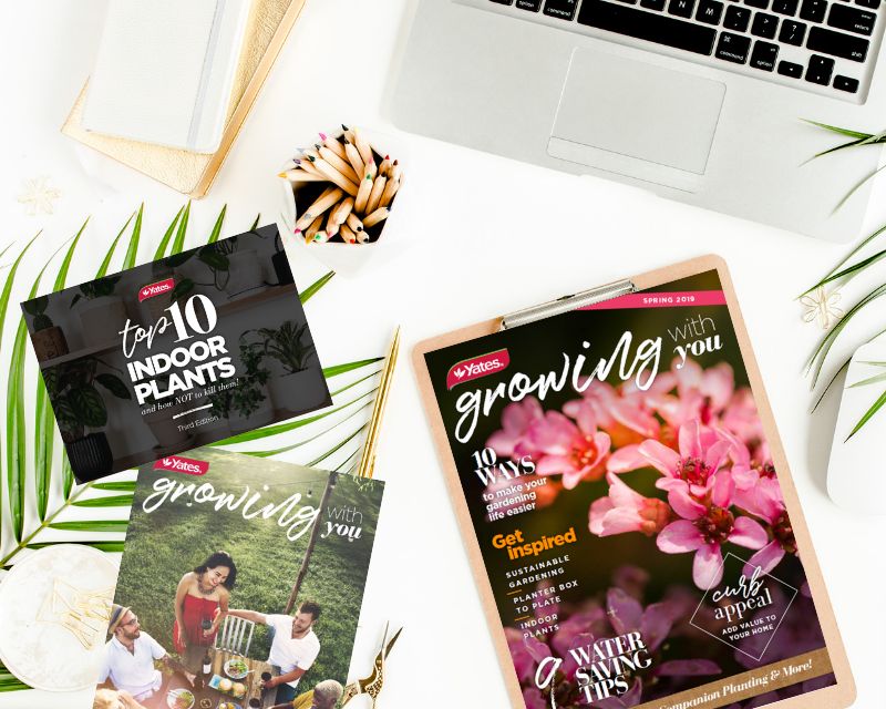 Yates Garden Calendar | Monthly