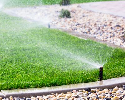 Lawn Watering Tips | Yates Gardening