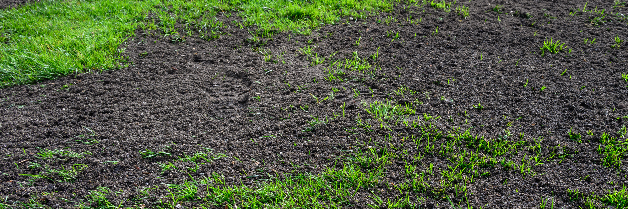 Yates New Zealand | Garden Products & Advice | Vegetables, Fruit ...