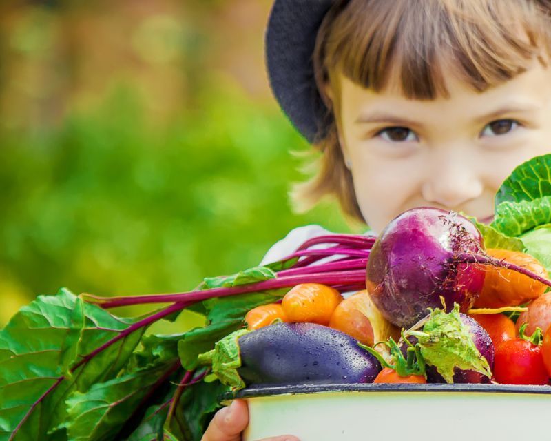 What vegies to plant in autumn | Yates