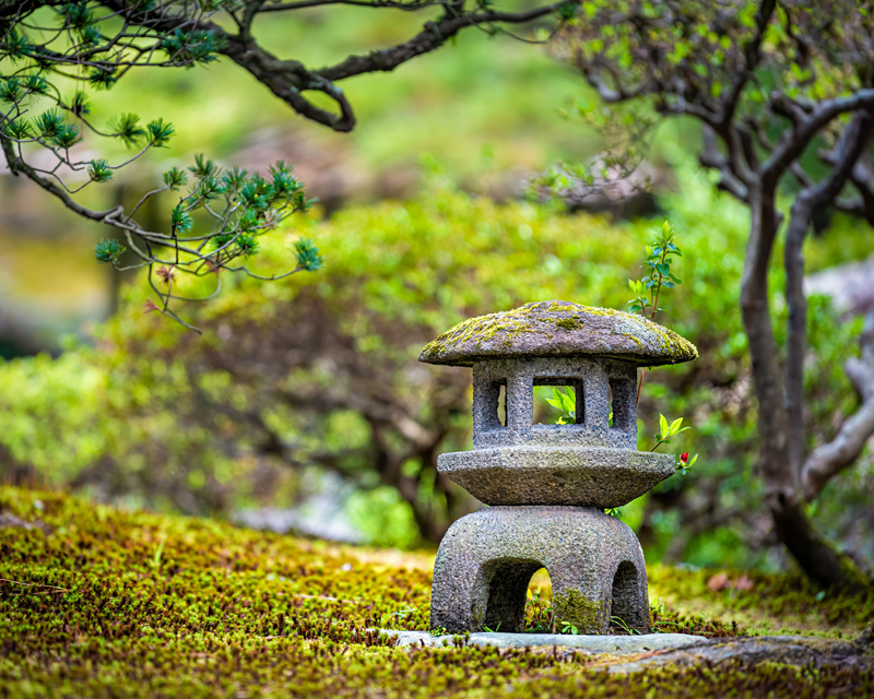 Principles of Traditional Japanese Garden Design + How to Adapt & Apply ...